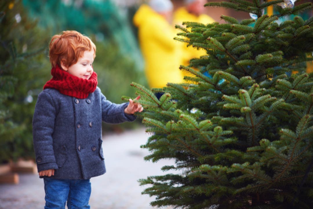 Real vs. Artificial Christmas Trees: Pros, Cons & Dangers | SERVPRO