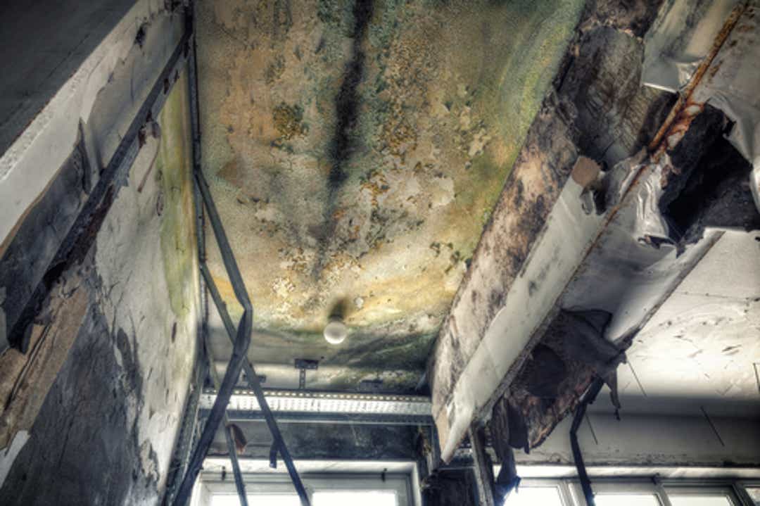 Mold Remediation, Removal & Restoration Services | SERVPRO