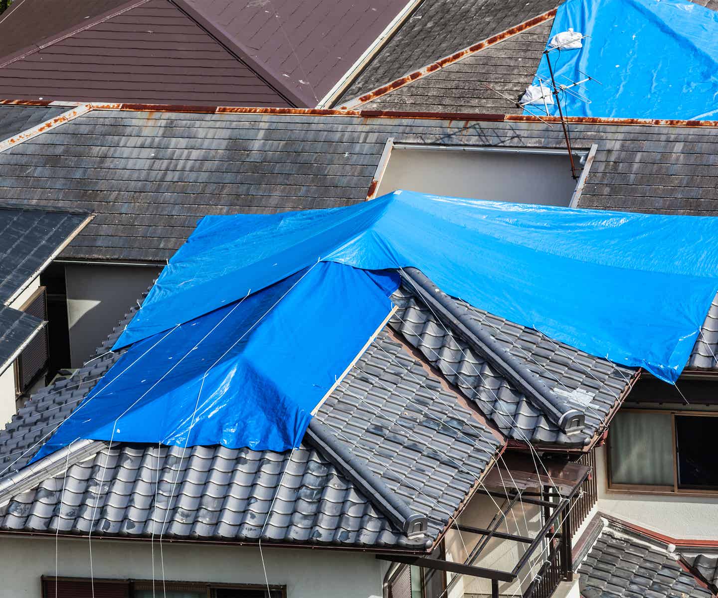 Emergency Roof Tarp and Board-up Services Near Me | SERVPRO
