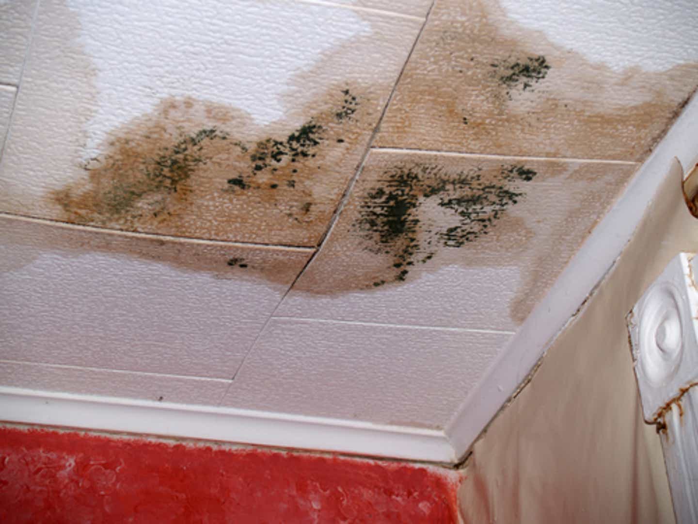 Water-Damaged Ceiling Warning Signs & Repair Tips | SERVPRO