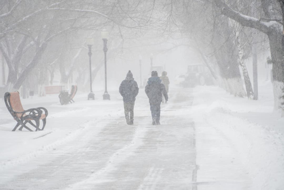 Wind chill can be dangerous and deadly for humans and animals | SERVPRO