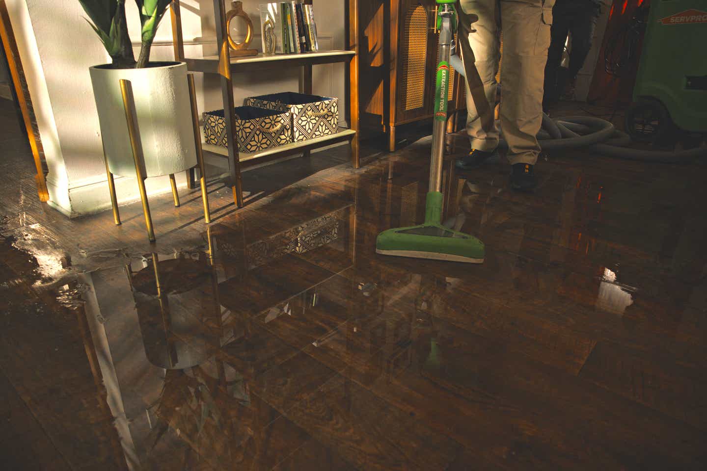 Water Damage Remediation & Water Restoration Services | SERVPRO